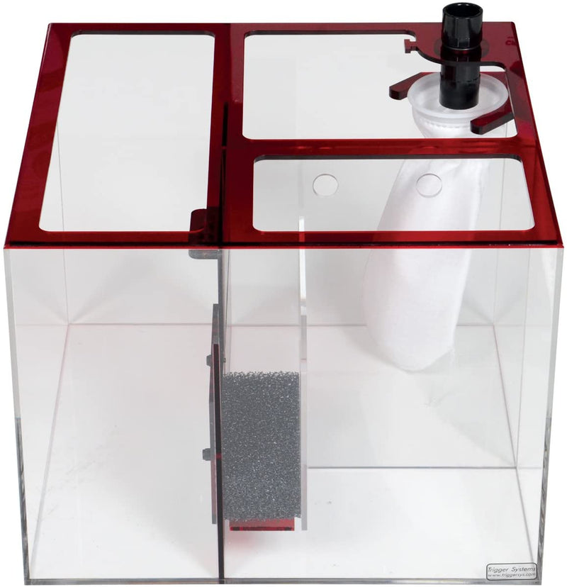 Trigger Systems Ruby Cube Sump - 20" – Pet Life