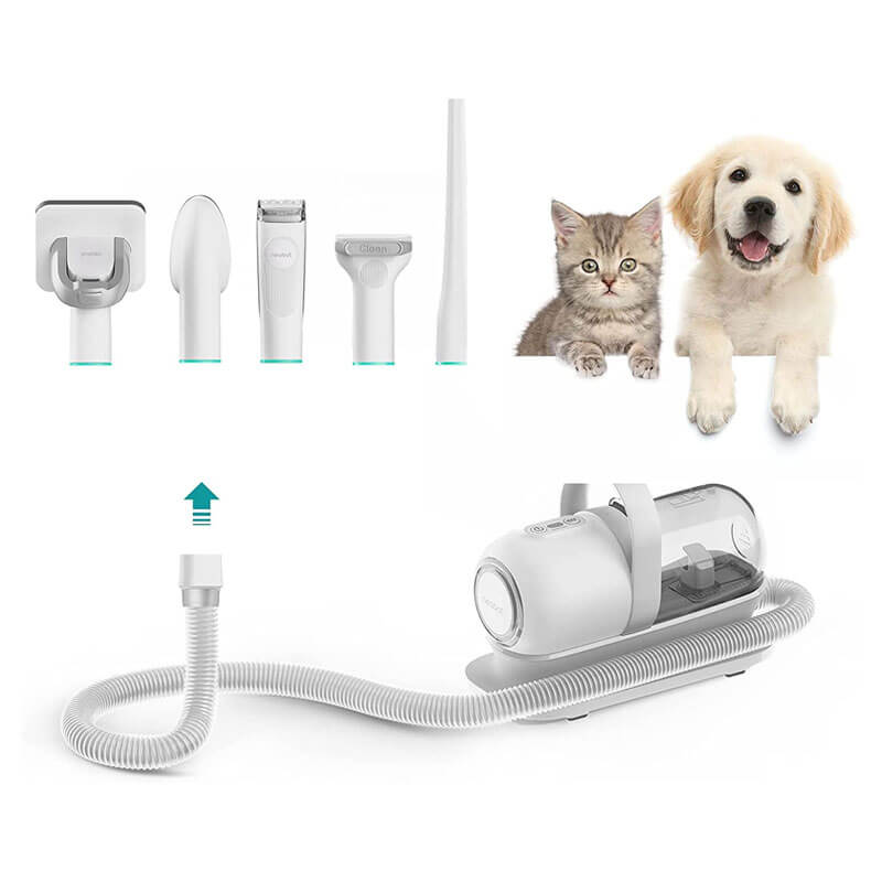 Guide to Pet Grooming: Essential Tools and Products – Pet Life