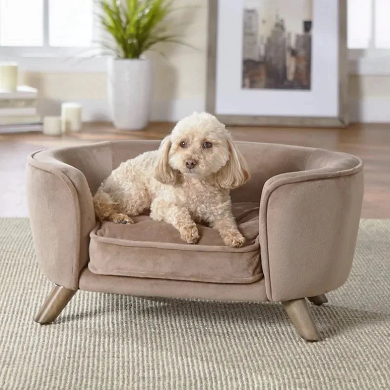 Top 10 Products to Enhance Your Pet’s Comfort at Home – Pet Life