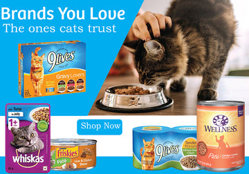Pet Life | Cat and Dog Food | Pet Treats Supplies and Accessories