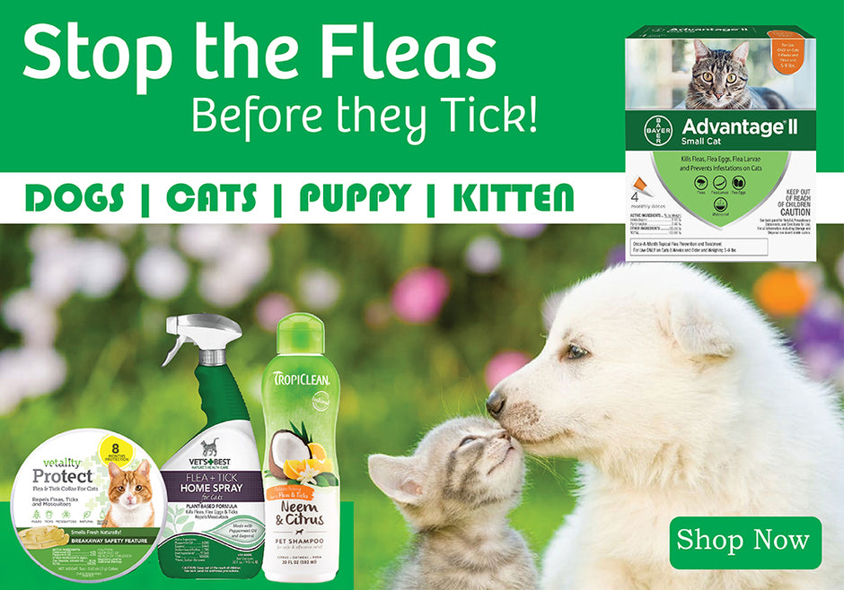 Pet Life | Cat and Dog Food | Pet Treats Supplies and Accessories