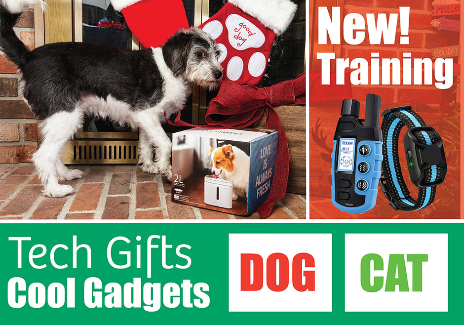 Pet Life | Cat and Dog Food | Pet Treats Supplies and Accessories