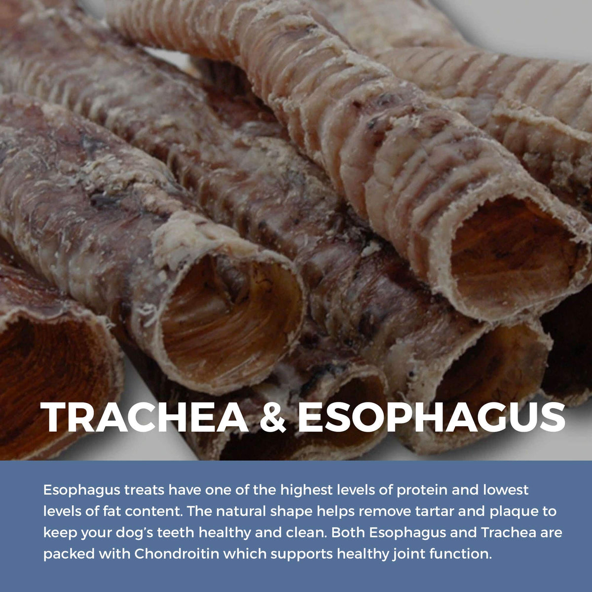Home Range Beef Trachea Natural Dog Chews - 12 In - Case of 25 – Pet Life