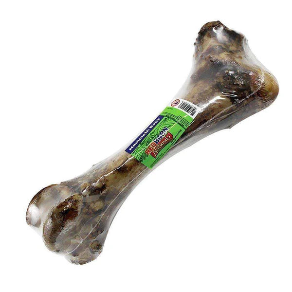 Red Barn Mammoth Bones Natural Dog Chews - 6 Count – Pet Life