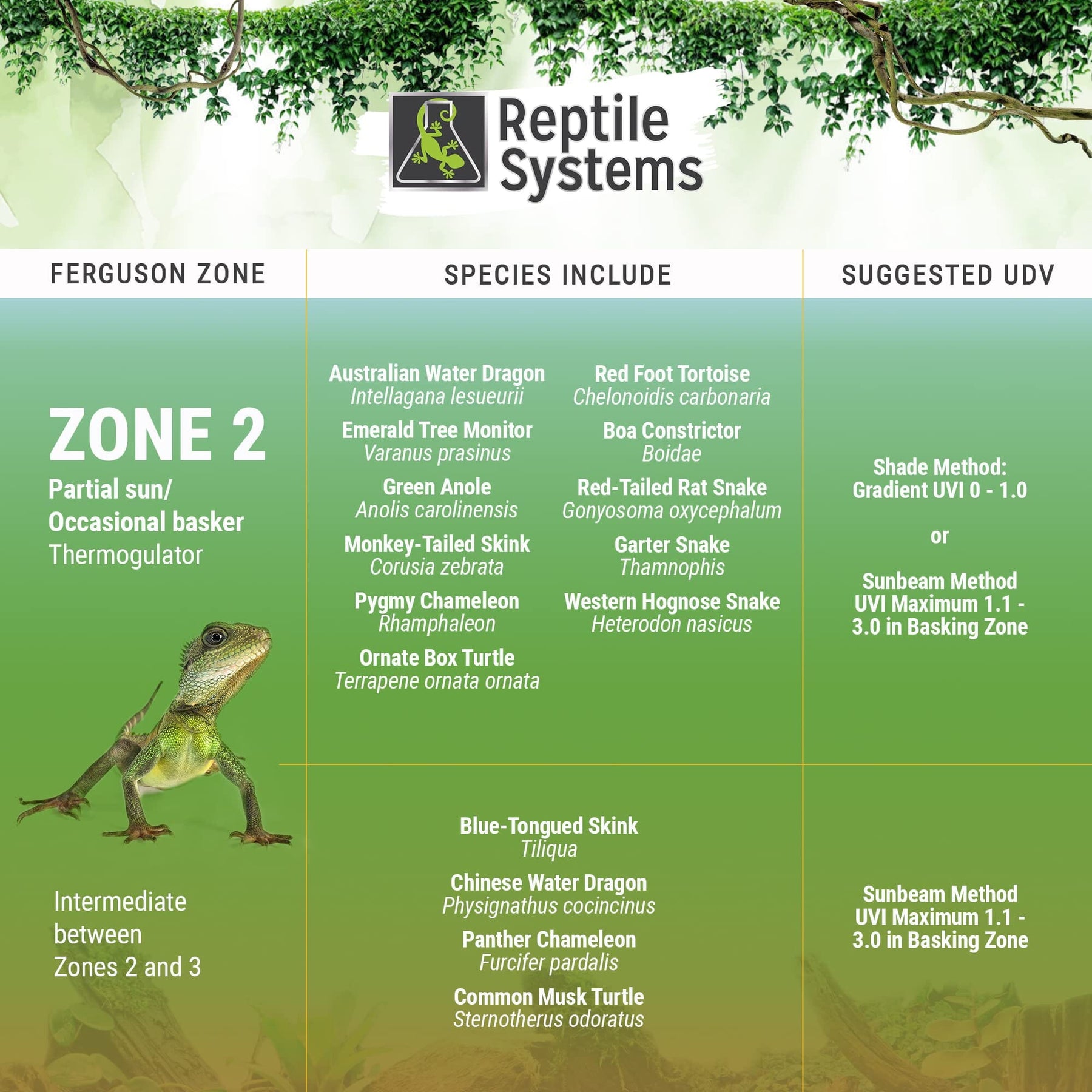 Reptile Systems PRO T5 GEN2 Zone 1 Reptile Lighting - Black - 24 Watt ...