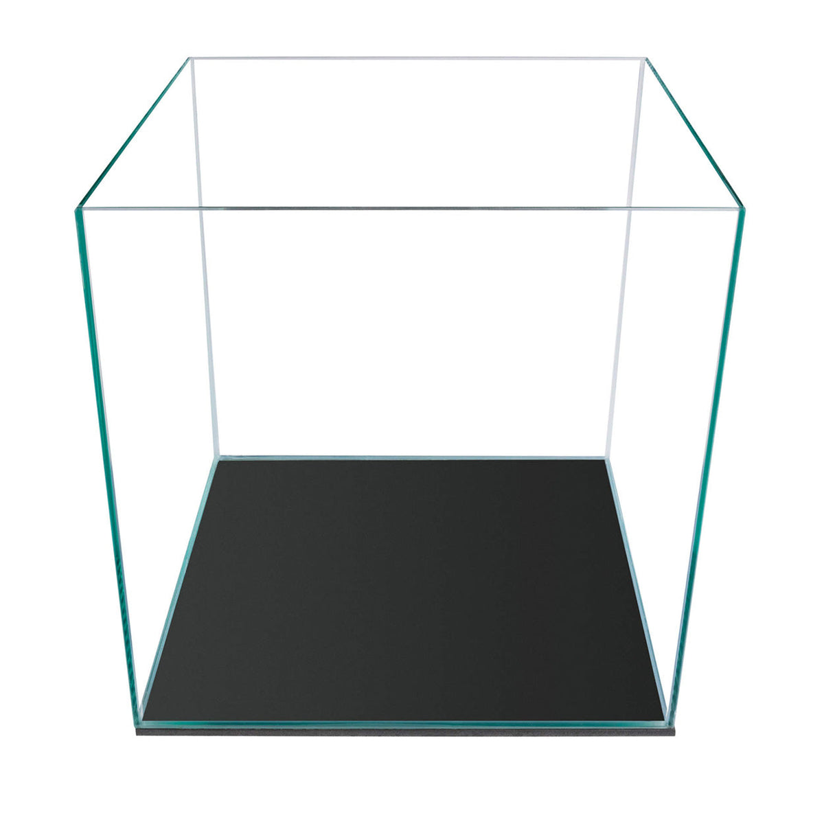 Aqueon Frameless Cube Aquarium - 6 gal – Pet Life