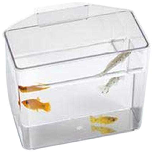 Lee's Specimen Container/Convalescent Home - Heavy Duty - Small – Pet Life