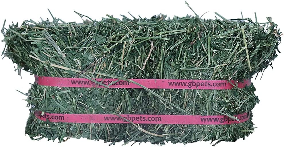 Oxbow Alfalfa Small Animal Hay - 40 Oz – Pet Life