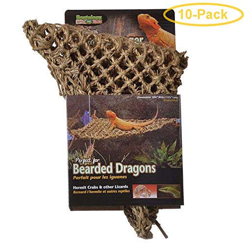 Penn Plax Natural Lizard Lounger - Corner - Small – Pet Life