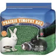 Pestell Prairie Timothy Hay Small Animal Bedding - 48 oz - 4 Count ...