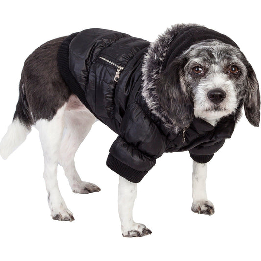 Dog Coats and Jackets | Shop Outdoor Winter Dog Clothes and Gear – Pet Life