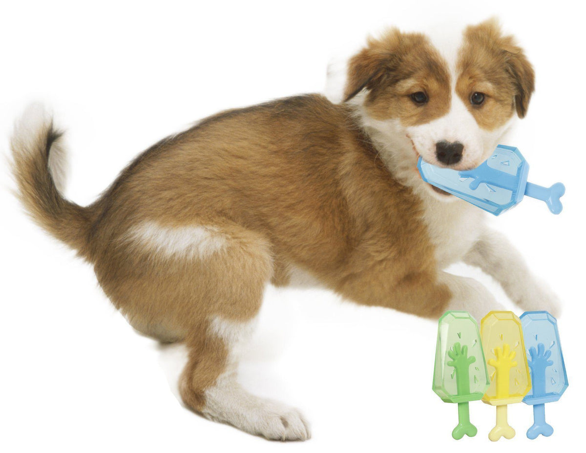 Dog Toys - Buy Best Toy Online | Pet Life