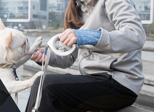 PETKIT GO Bluetooth Smart Dog Leash | Pet Life