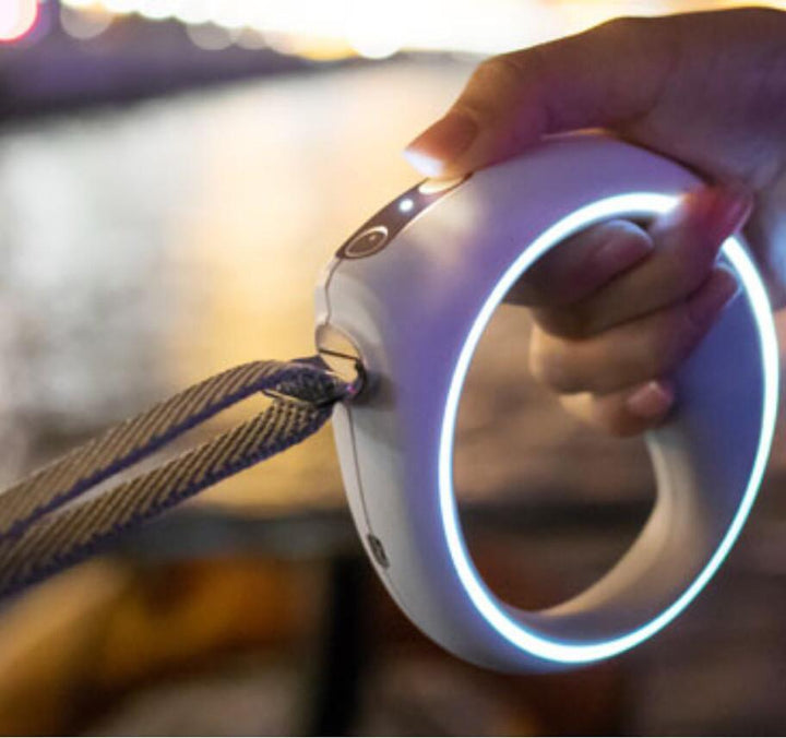 PETKIT GO Bluetooth Smart Dog Leash | Pet Life