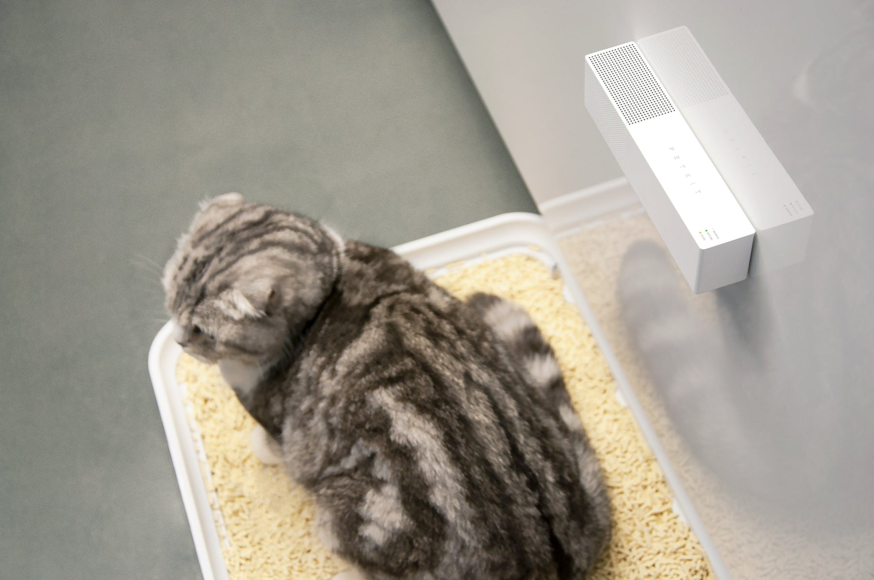 Motion Activated Pet Odor Eliminator Air Freshener | Pet Life