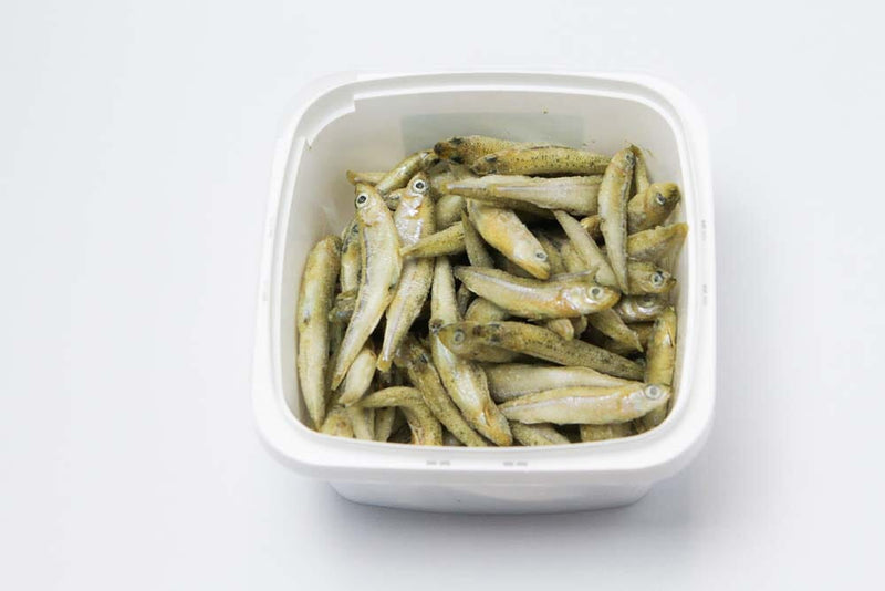 Pro Salt Silversides IQF-Individually Quick Frozen Fish Food - 10 Oz ...