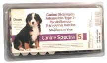 Spectra Canine Spectra 5 Dog Vaccine with O Syringe Dog Vaccines - 1 ...